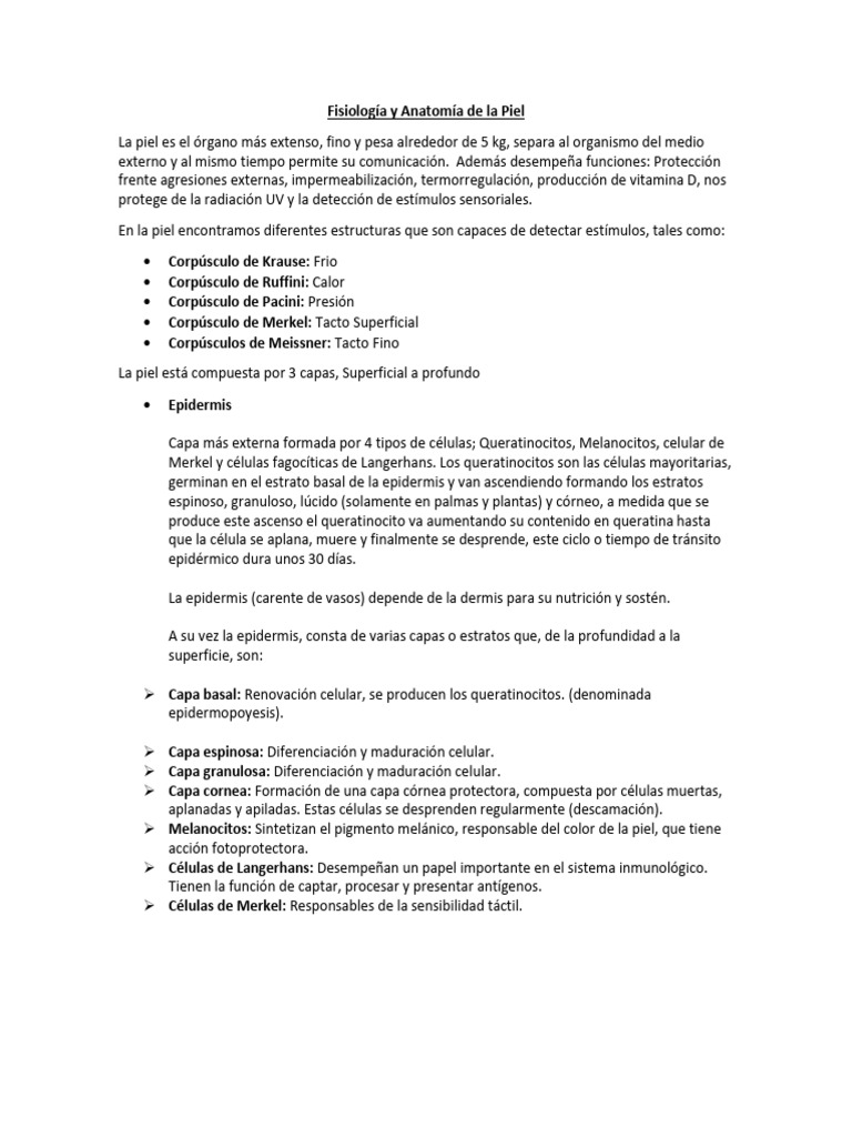 Fisiología Y Anatomía De La Piel Pdf Epidermis Piel