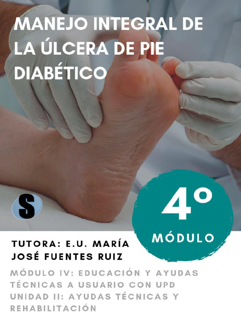 Página 1 Curso Manejo Integral de La Ulcera Pie Diabetico - Seprotec ...