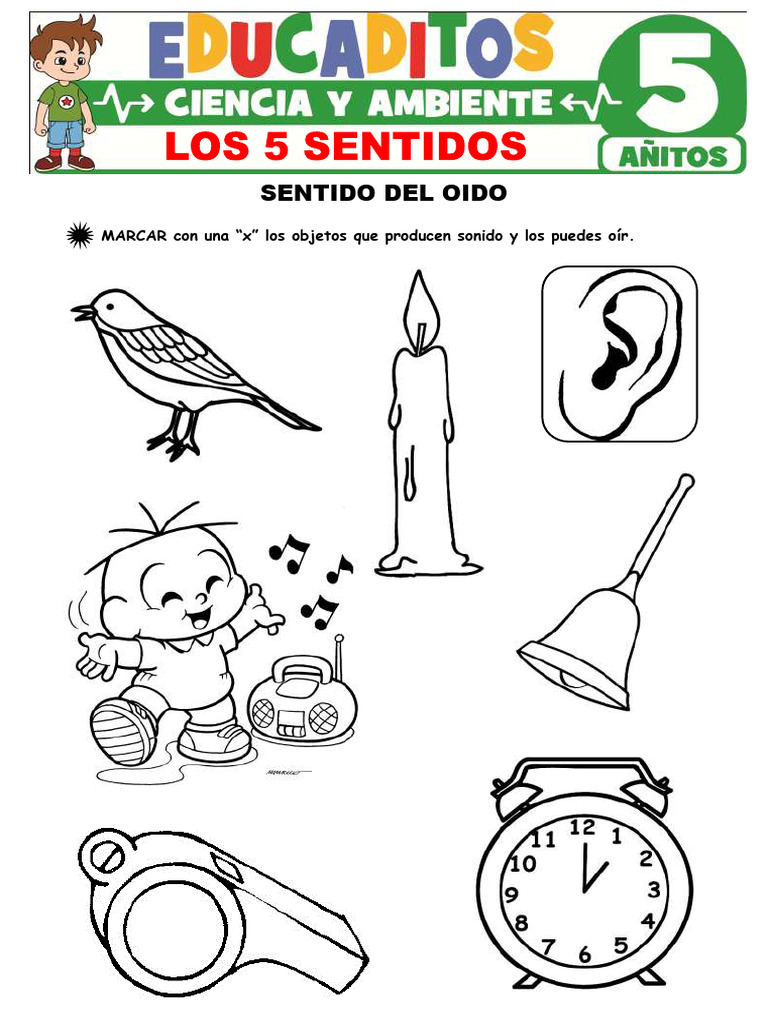 Los 5 Sentidos Para Ninos de 5 Anos | PDF