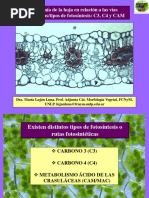 Manual Physioex 9 0 Pdf