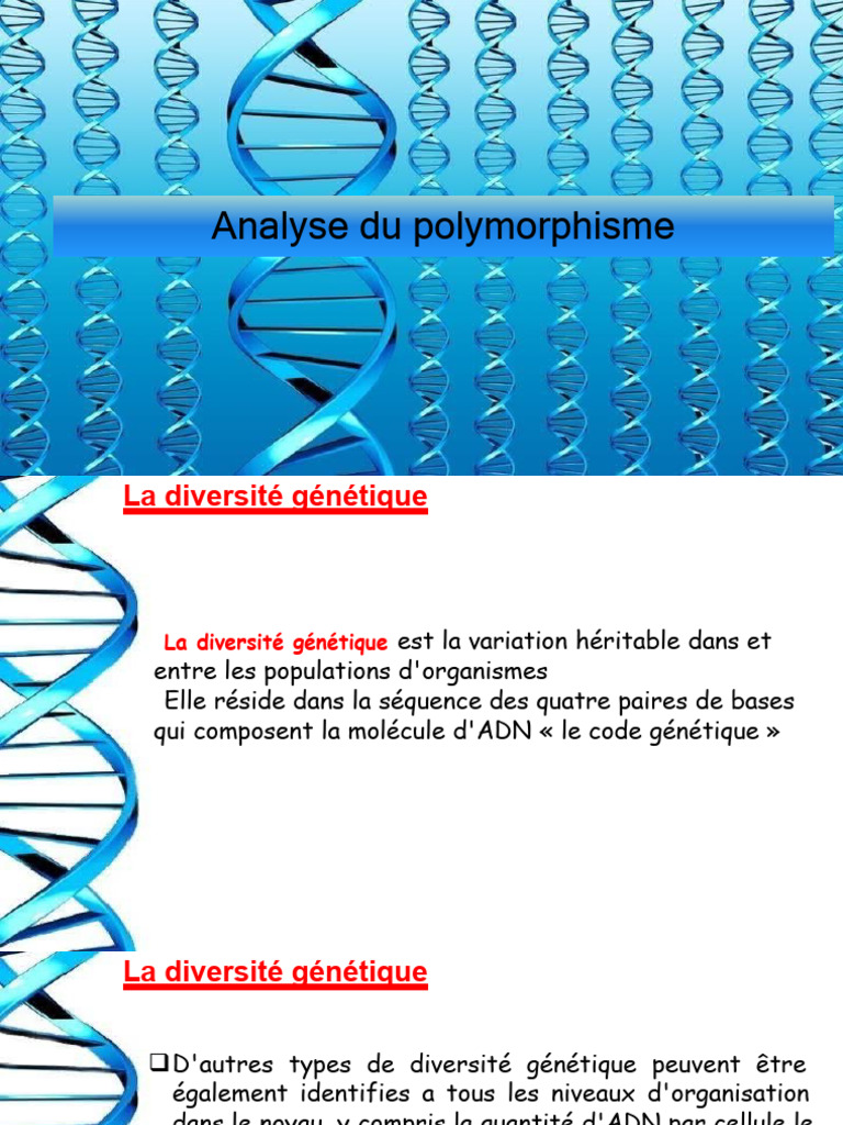 Cours 3 | PDF | Enzyme de restriction | Réaction en chaîne par polymérase
