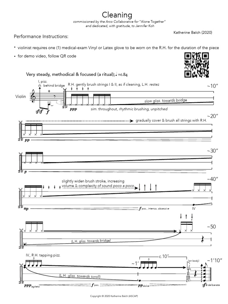 Cleaning | PDF | Violin