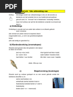 Basisvorme, Voor-En Agtervoegsels 01 | PDF