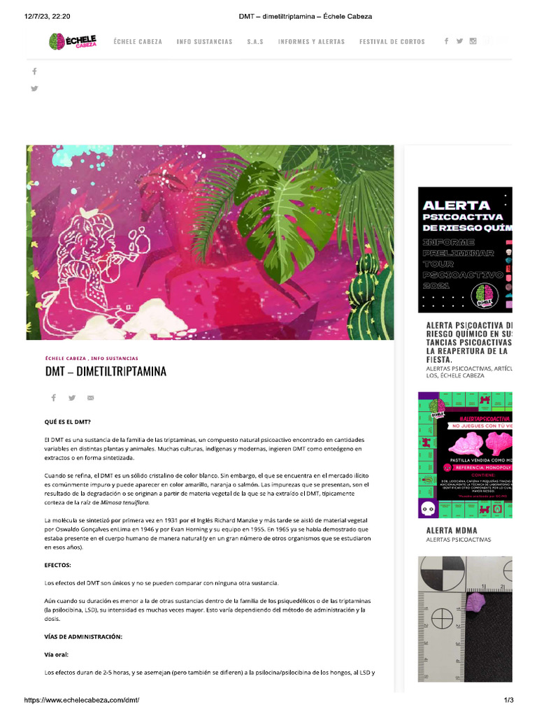 DMT – DIMETILTRIPTAMINA | PDF