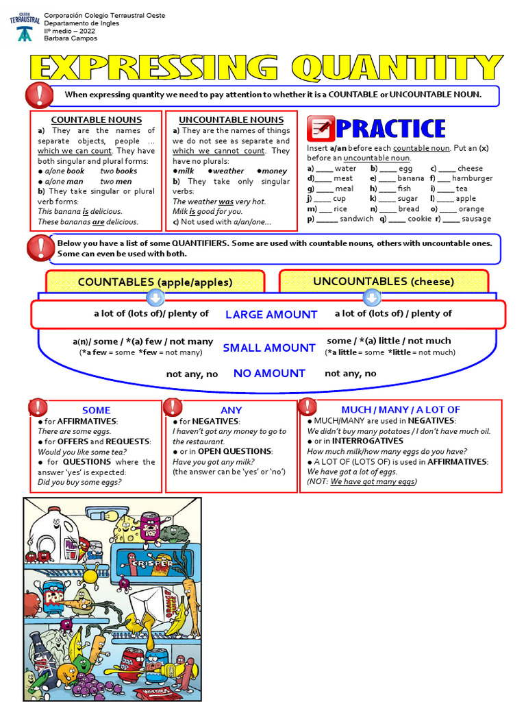 Expressing Quantity Handout Mayo | PDF | Plural | Noun