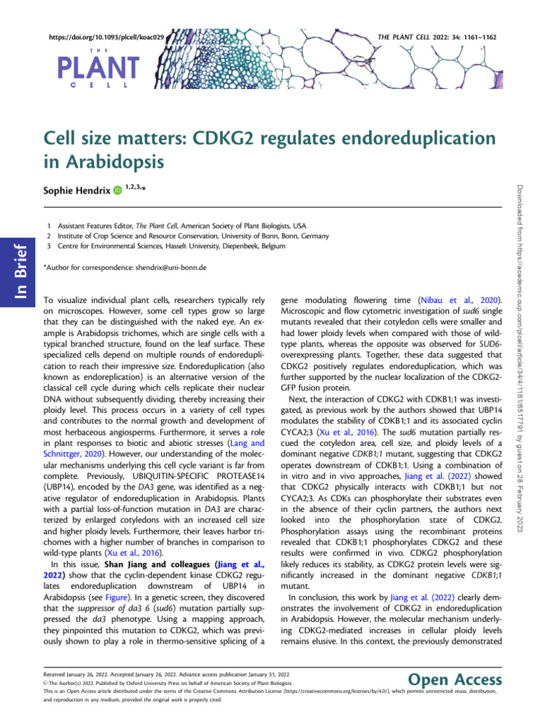 Cell Size Matters: CDKG2 Regulates Endoreduplication in Arabidopsis ...