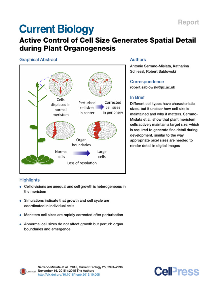 Active Control of Cell Size Generates Spatial Detail During Plant ...