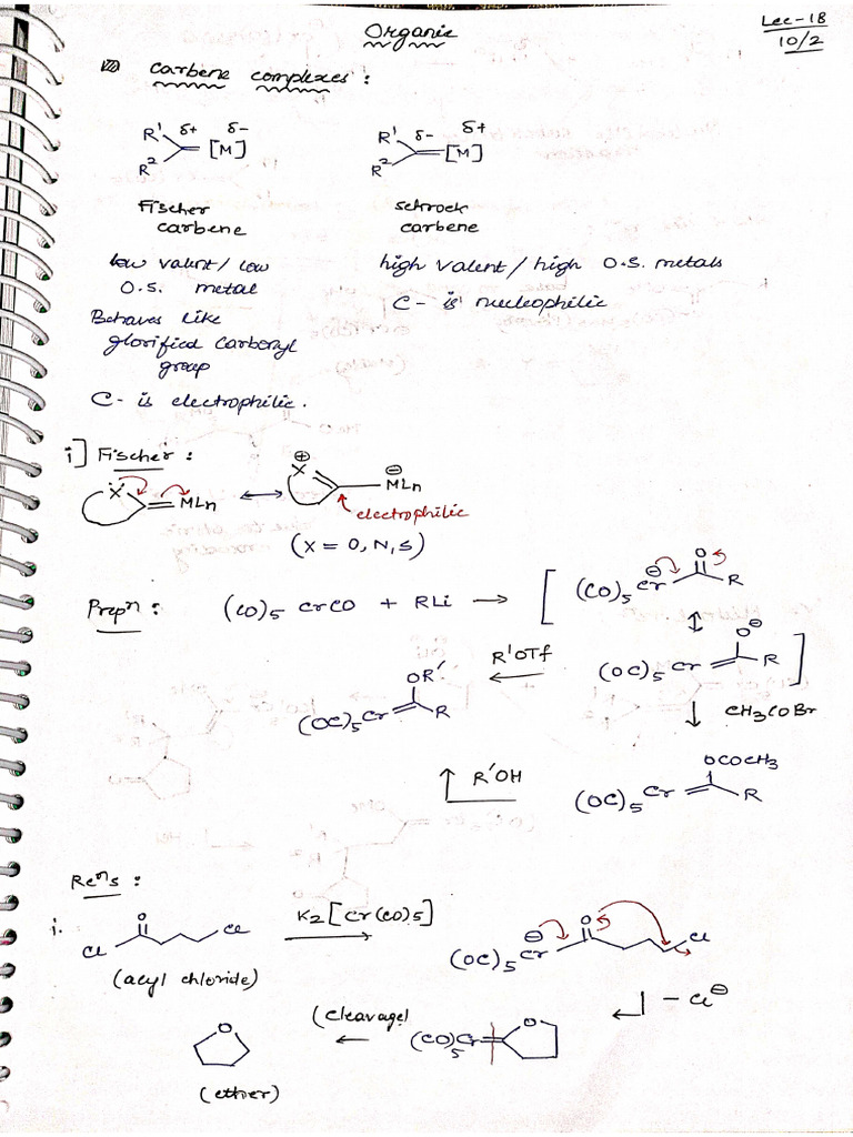 Organic (LEC 18-36) | PDF