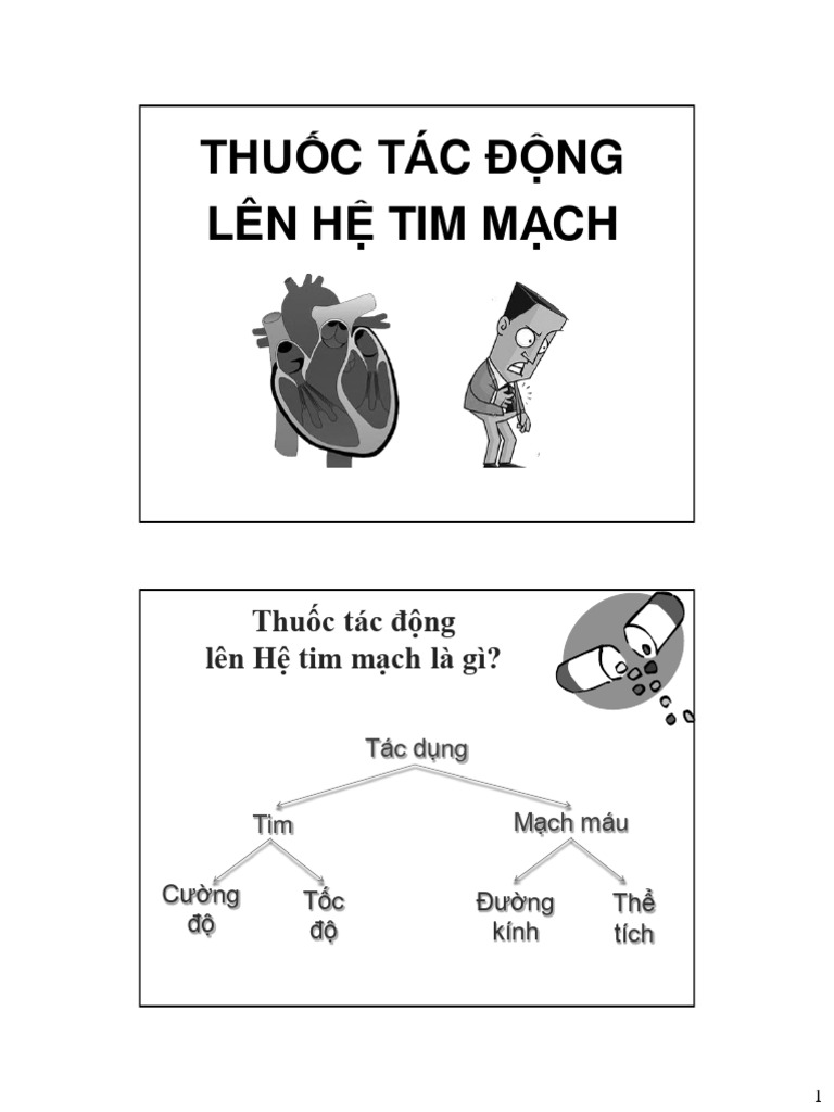 Tim Mach | PDF