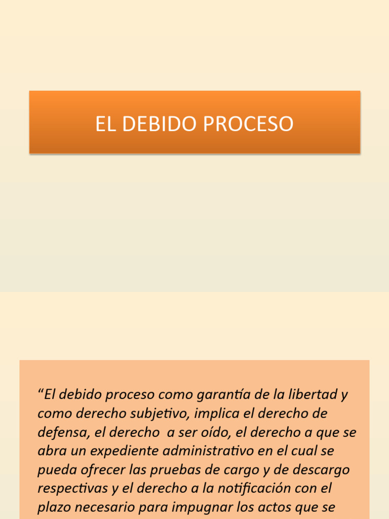 El Debido Proceso | PDF