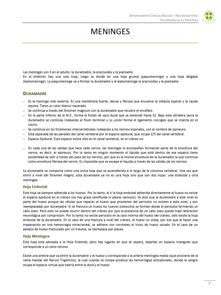 Meninges | PDF | Fluido cerebroespinal | Médula espinal