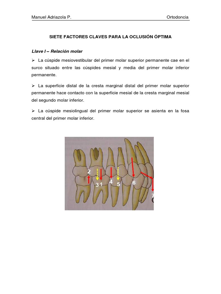 3 - Siete Llaves para La Oclusión Óptima MODIFICADO 2016 PDF | PDF ...
