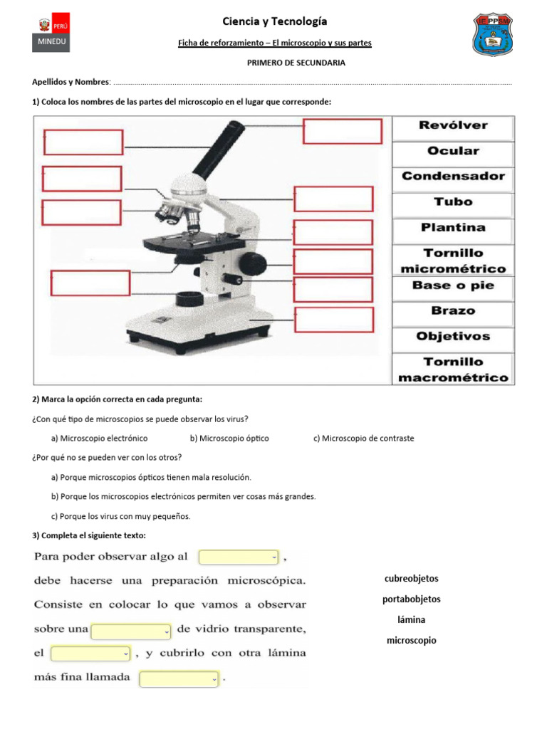 Ficha de Reforzamiento 2-1ro-El Microscopio | PDF