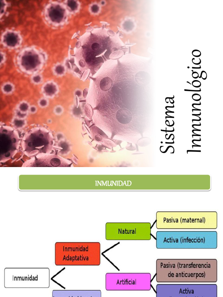 Sist. Inmunológico 1 | Descargar gratis PDF | Linfocitos | Sistema inmune