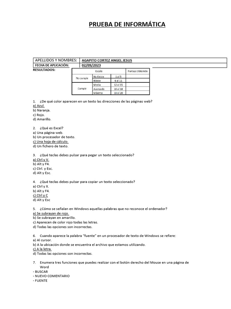 Prueba de Informática Netcall | PDF | Archivo de computadora | Informática