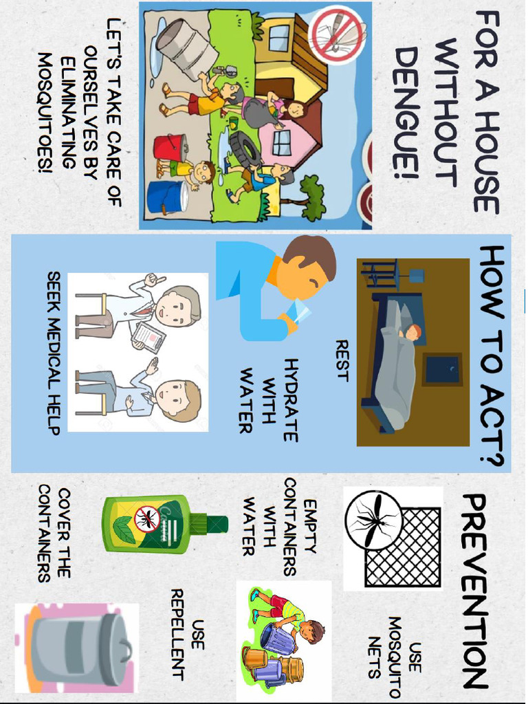 Infografia Del Dengue en Ingles | PDF