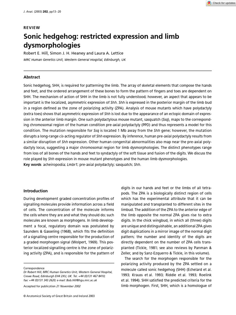 Journal of Anatomy - 2003 - Hill - Sonic Hedgehog Restricted Expression and Limb Dysmorphologies ...