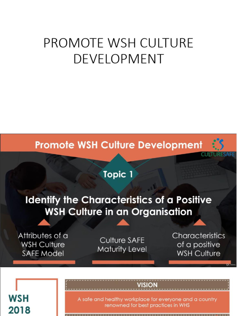 Promote WSH Culture Development | PDF | Occupational Safety And Health ...