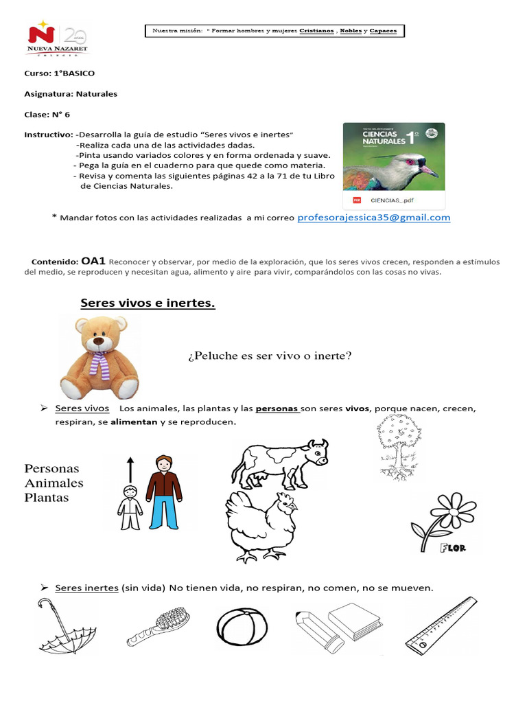 Guía de Estudio: Seres Vivos e Inertes | PDF