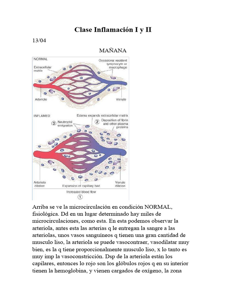 Clase 1 Inflamacion | PDF | Inflamación | Edema