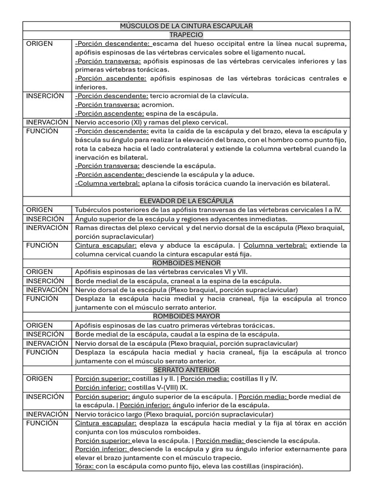 Músculos Cintura Escapular | PDF | Sistema musculoesquelético ...