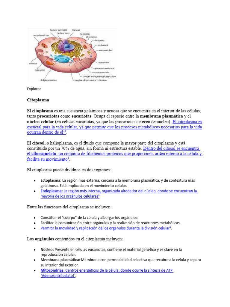 Citoplasma | PDF