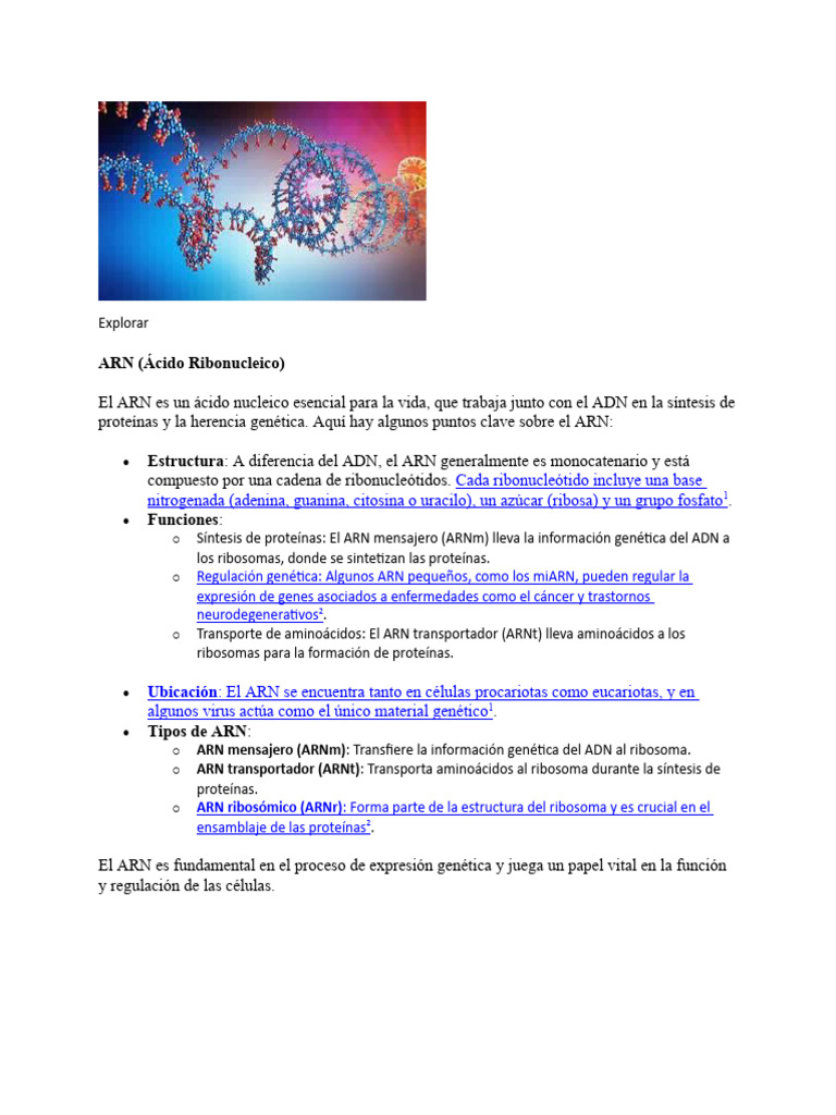 ARN (Ácido Ribonucleico) : Ubicación | PDF