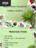 Lily Flower Dissection Guide | PDF