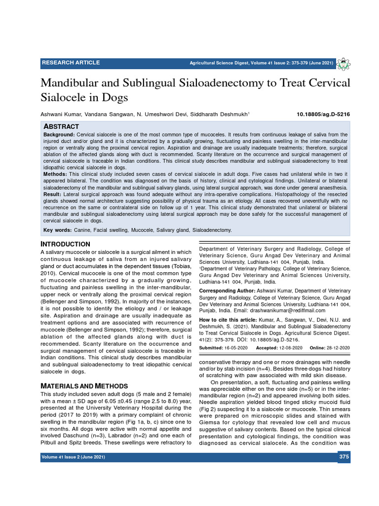 Sialoadenectomy for Canine Sialocele Treatment | PDF | Surgery ...