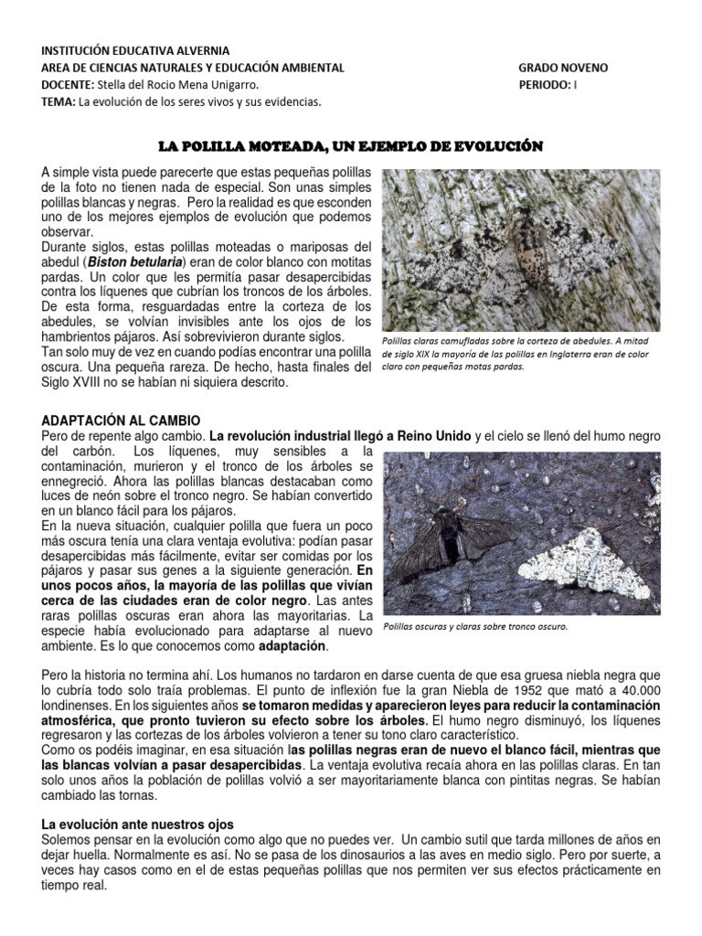 Biston Betularia Seleccion Natural | PDF | Evolución | Elemento ...