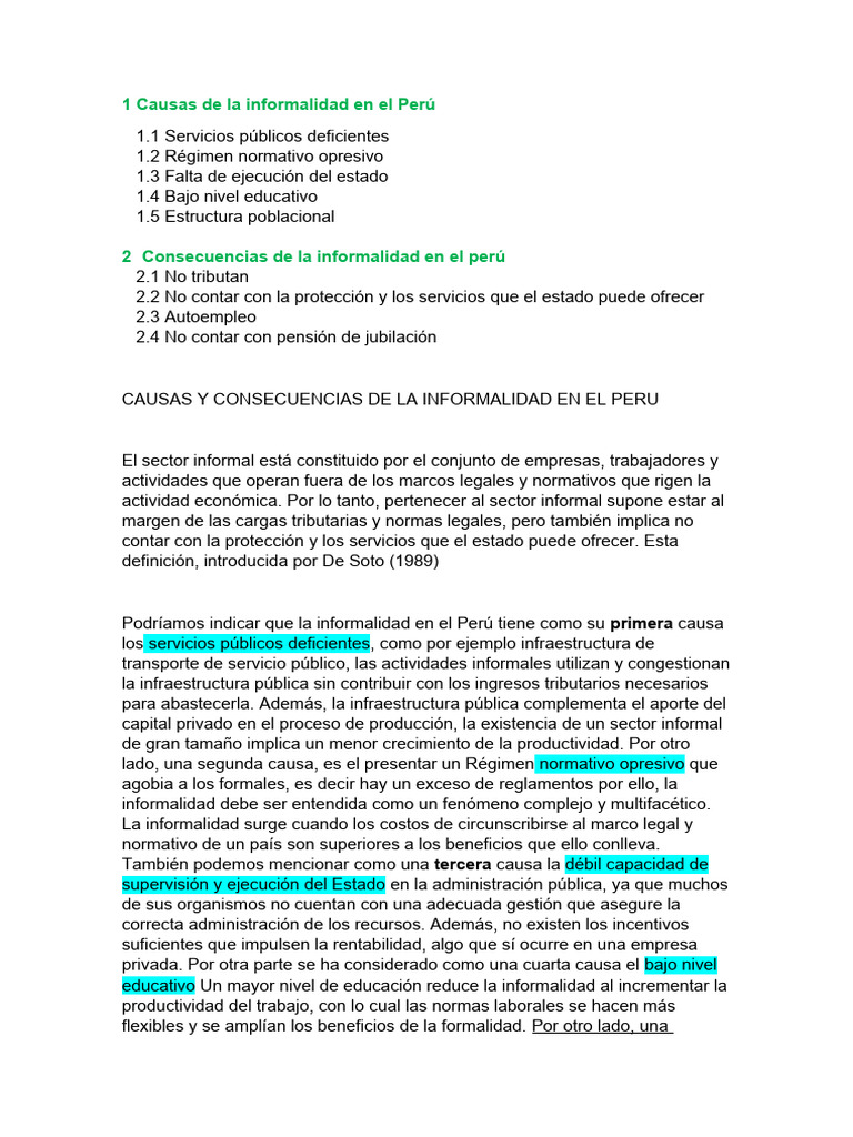 1 Causas de La Informalidad en El Perú | PDF | Business | Pensión