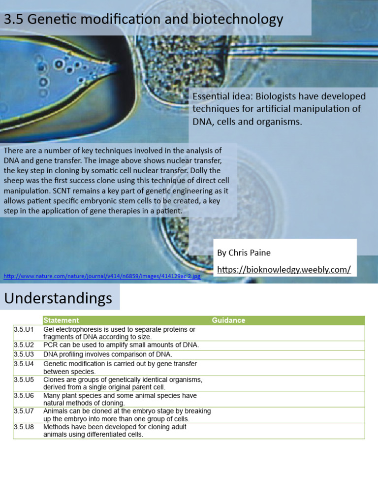 Therapeutic Cloning Techniques Explained | PDF | Polymerase Chain ...