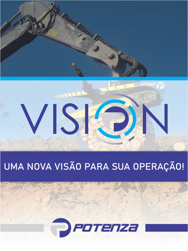 Vision 1 | PDF