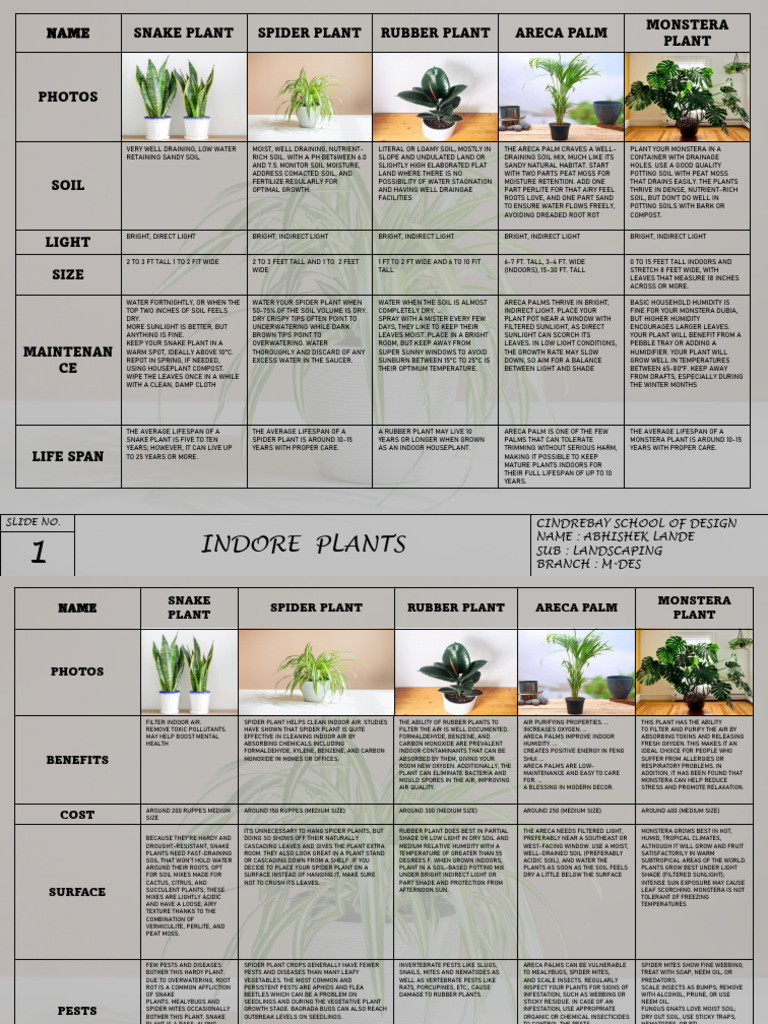 Indore Plants | Download Free PDF | Pest (Organism) | Soil
