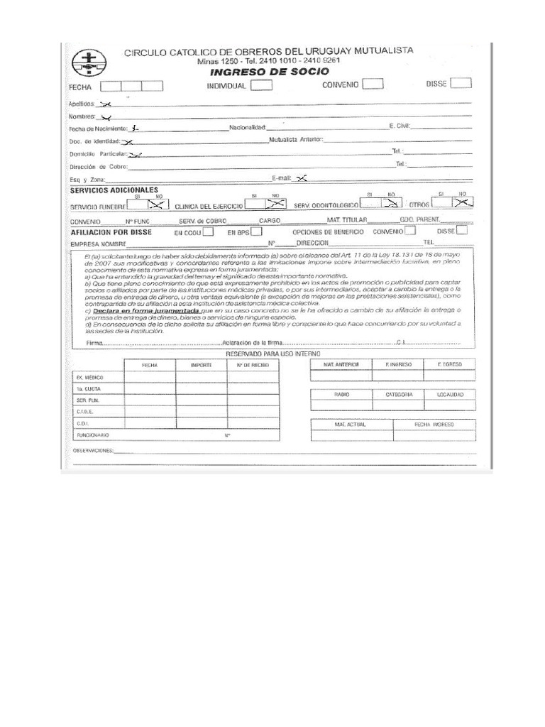 Instrucciones Formulario 1 | PDF