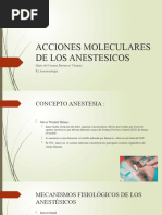 Ensayo Sulfato de Magnesio-Esquema Zuspan | PDF | Astrocito | Inflamación