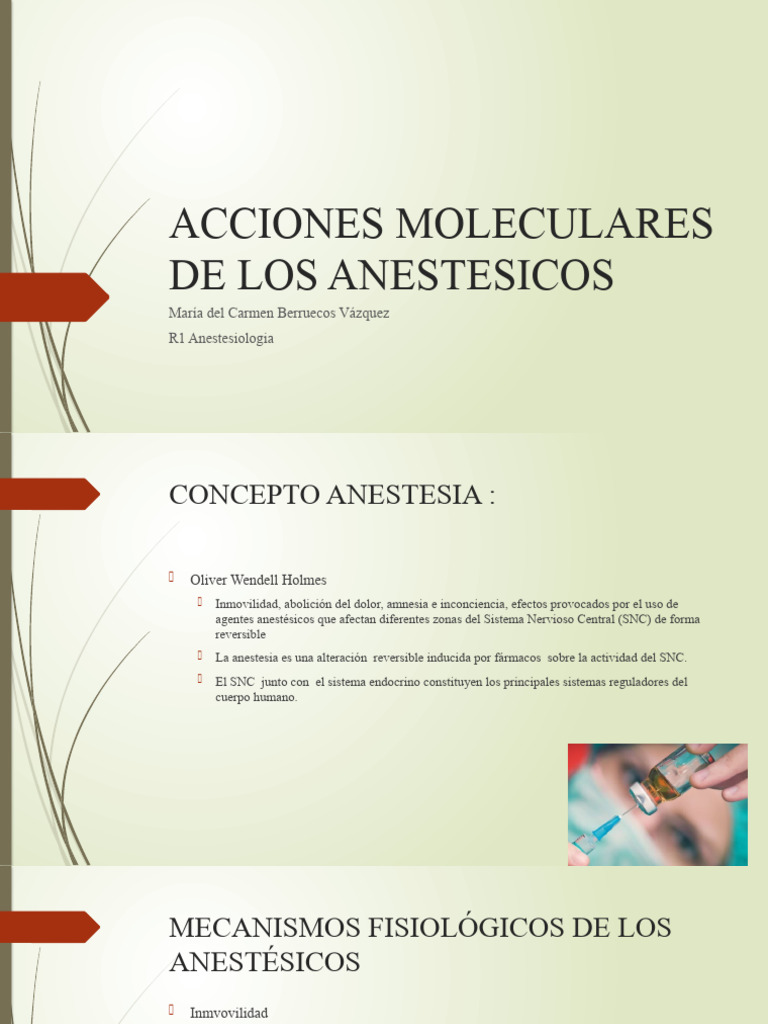 Teoria Molecular Del Efecto De Los Anestesicos Pdf Sinapsis Canal