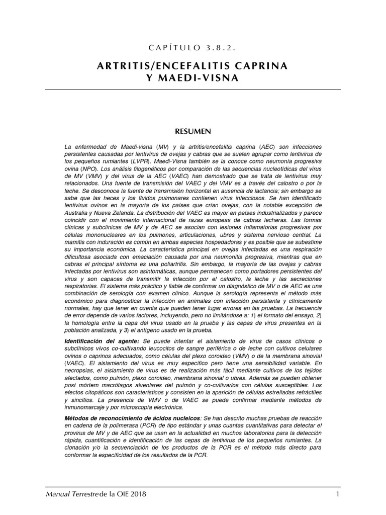 3.08.02 Artritis-Encefalitis Caprina Maedi Visna | PDF | Elisa ...