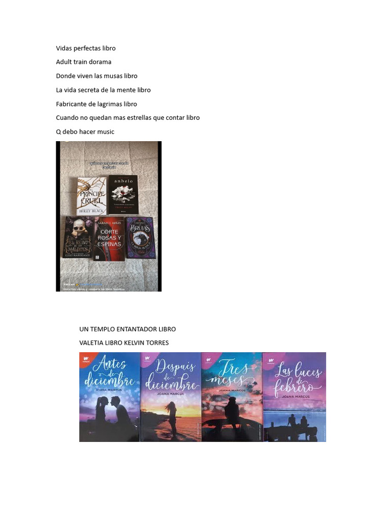 Vidas Perfectas Libro Luciana | PDF | Poesía | Ficción general