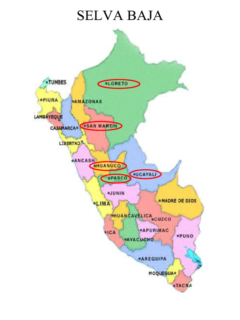 mapa de la region omagua | PDF