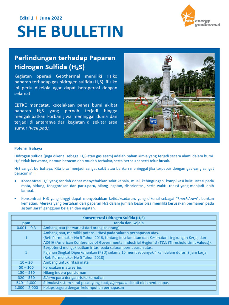 Perlindungan Paparan Hidrogen Sulfida H2S | PDF | Kesehatan Holistik | Teknologi & Rekayasa