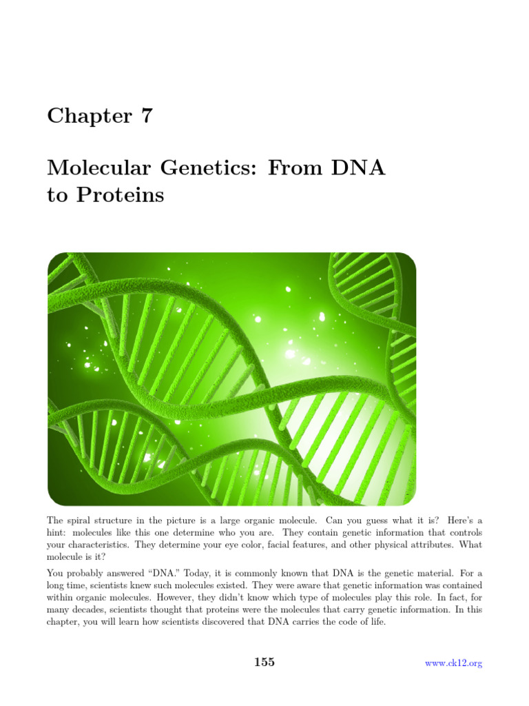 Chapter 7 - Molecular Genetics - From DNA To Protein | PDF | Operon ...