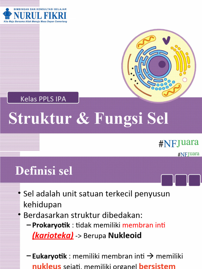 Struktur Dan Fungsi Sel | PDF