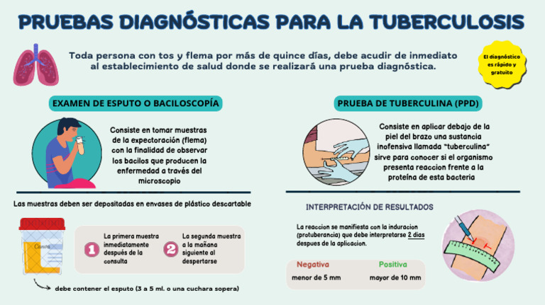 ¿Cómo Se Diagnóstica de La Tuberculosis? | PDF