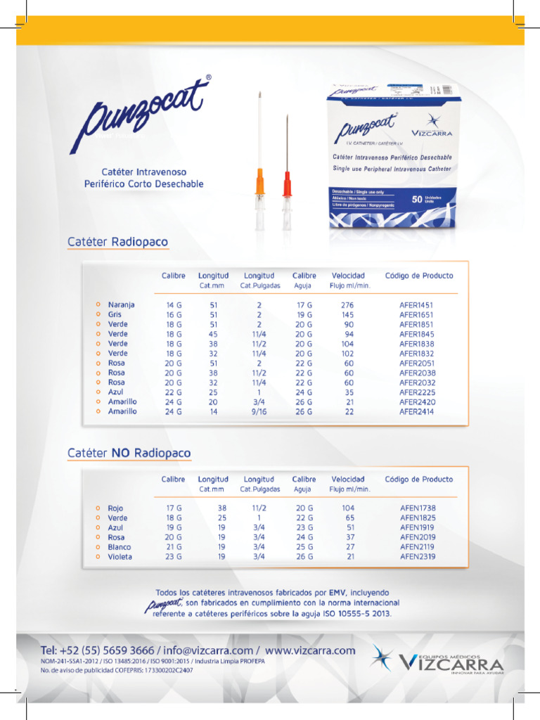 Punzo Cat | PDF