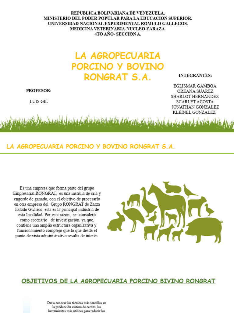 Plantilla Powerpoint de Animales de Granja | PDF | Business | Calidad ...