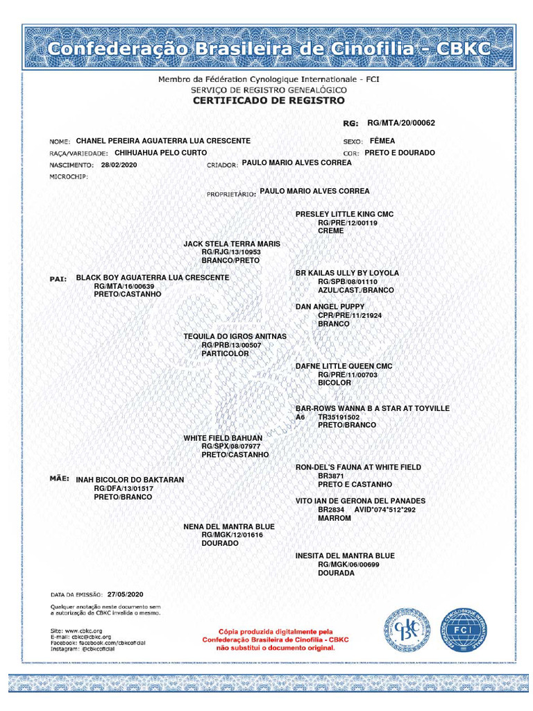 Pet Degree Chanel | PDF