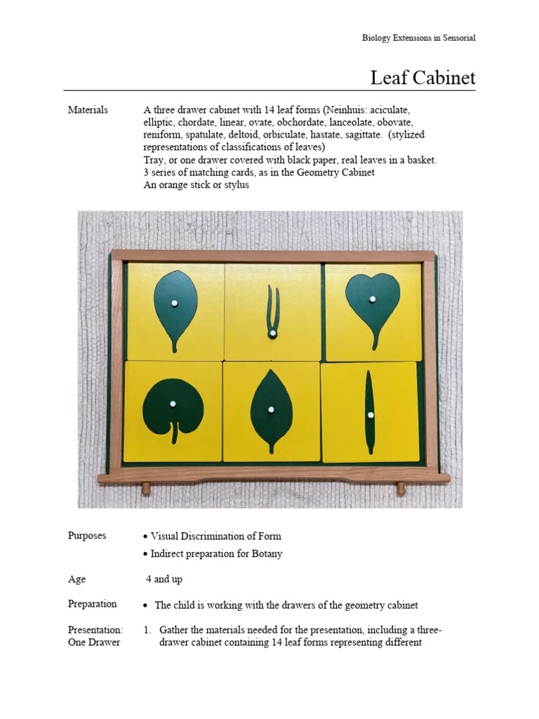 Leaf Cabinet MC | PDF | Drawing