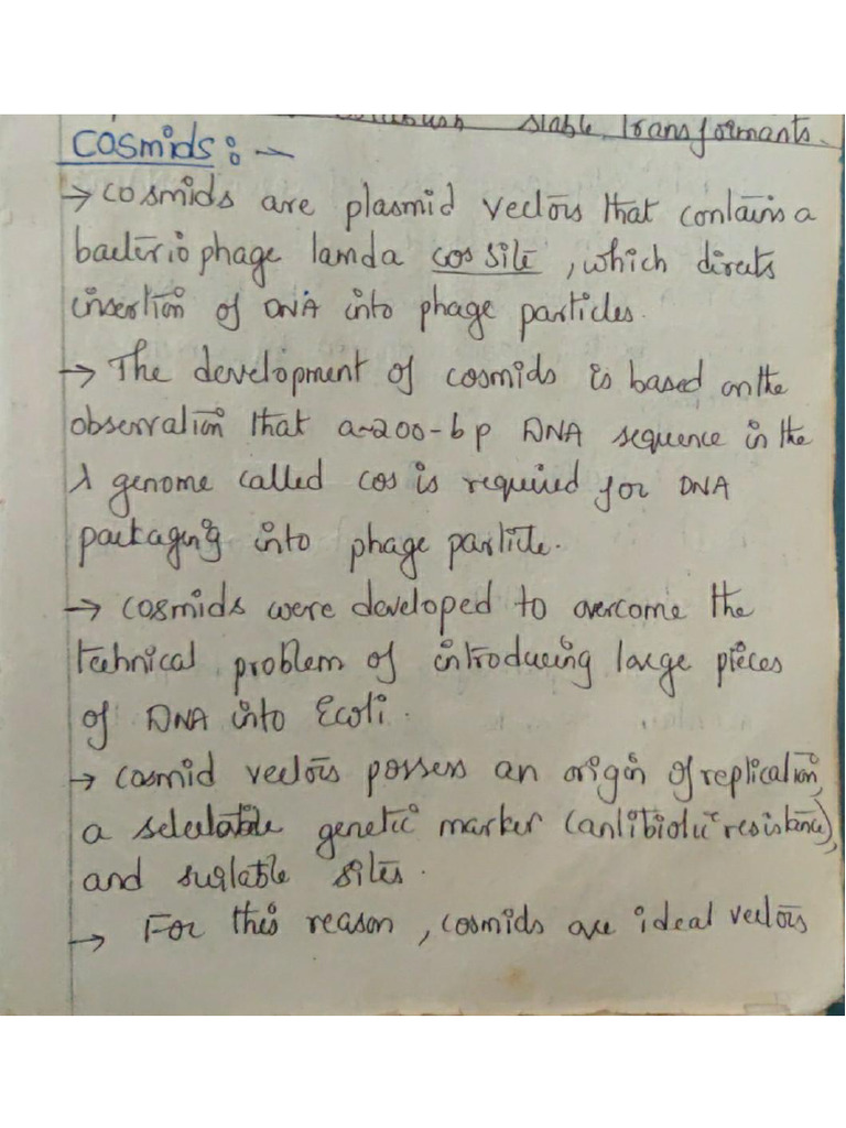 Codmid, Lambda Phage Vector, M13 Phage | PDF