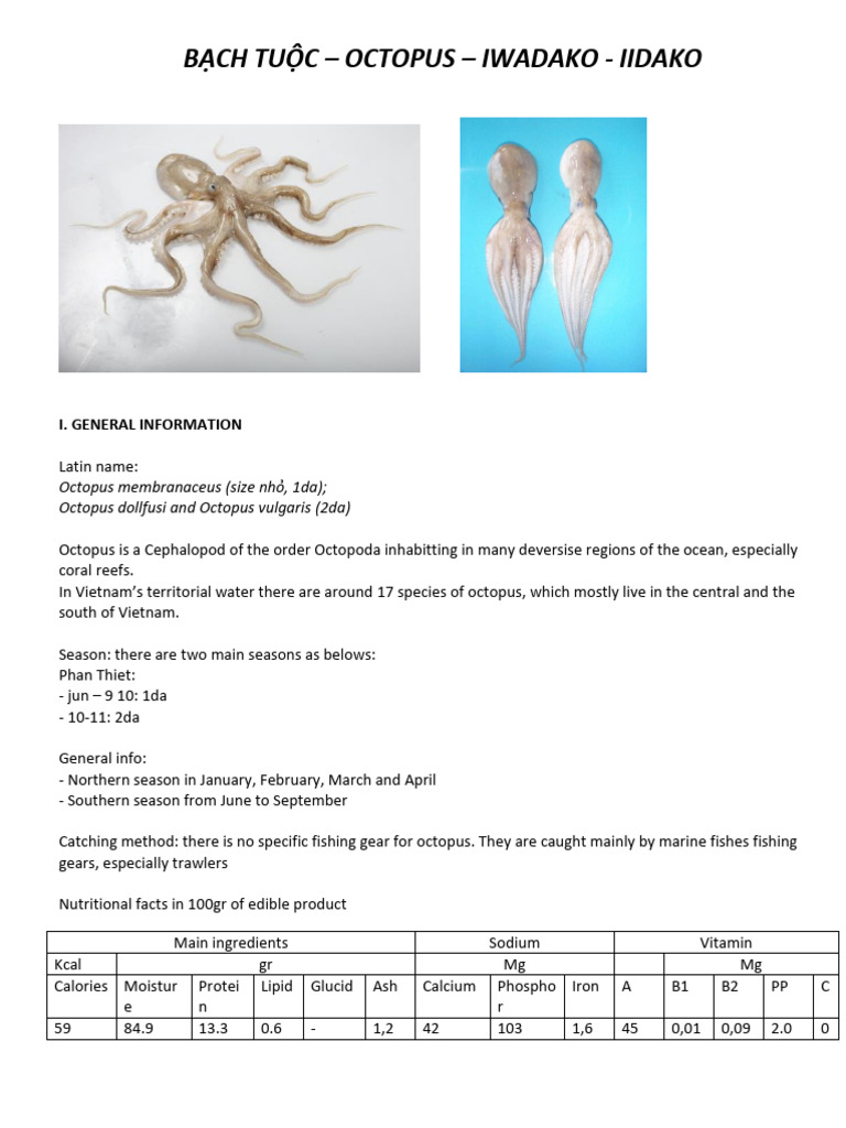 Octopus Products and Nutrition Facts | PDF | Octopus